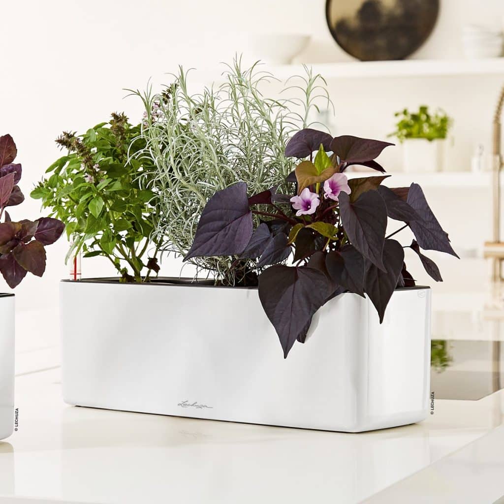 Buy CUBE Glossy Triple Charcoal High Gloss, Self-Watering Window Box ...