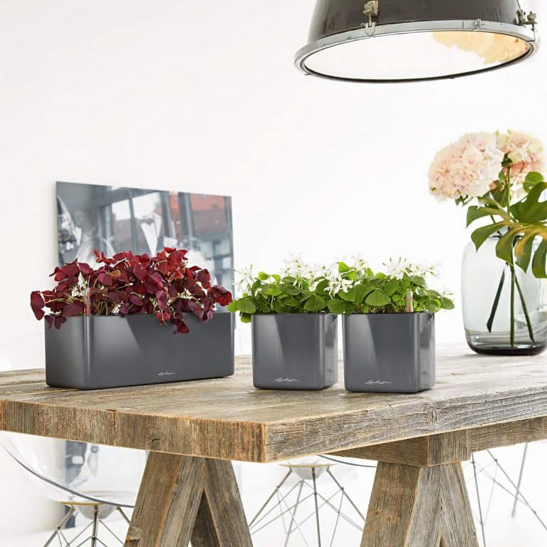 Buy CUBE Premium Triple Charcoal High Gloss, Self-Watering Window Box ...