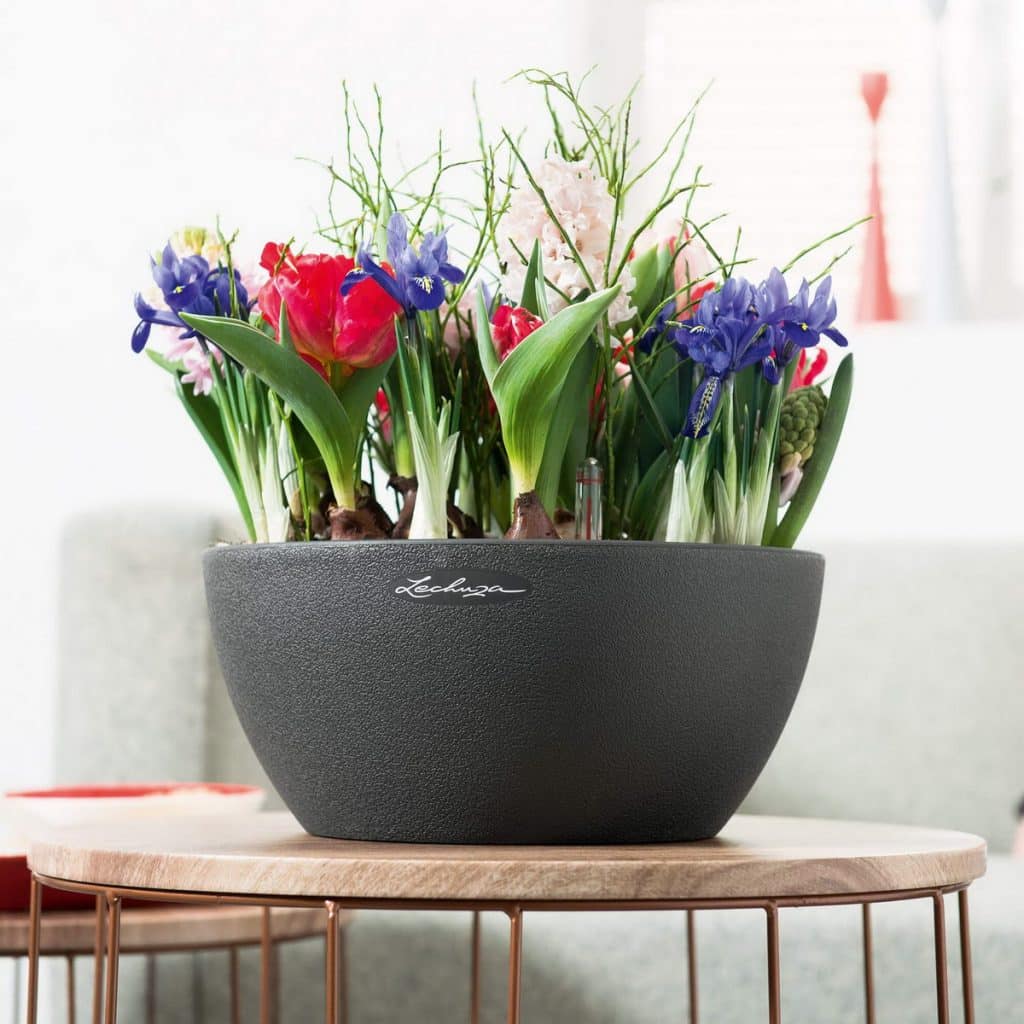 Buy CUBETO Stone 40 Sand Beige, Self-Watering Bowl Planter, D15.7 H7.1 ...