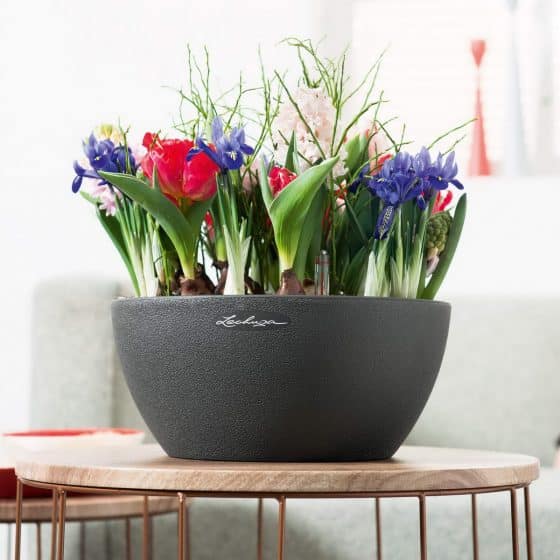 Buy CUBETO Stone 40 Sand Beige, Self-Watering Bowl Planter, D15.7 H7.1 ...