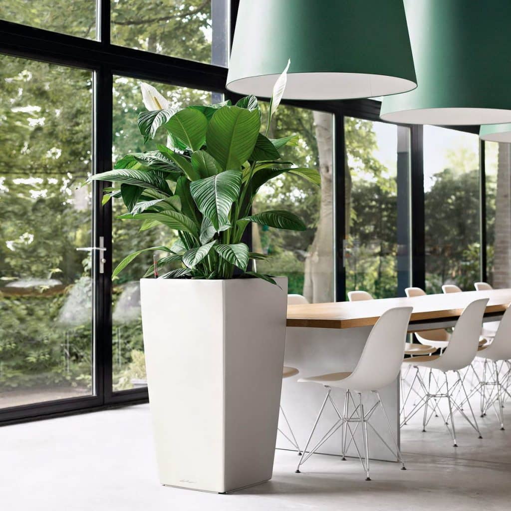 Buy CUBICO 22 Cream White High Gloss, Self-Watering Tall Planter, H16.1 ...