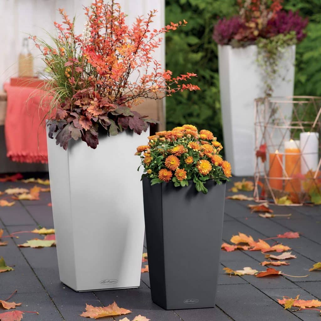 Buy CUBICO Color 40 Sand Brown, Self-Watering Tall Planter, H29.5 L15.7 ...