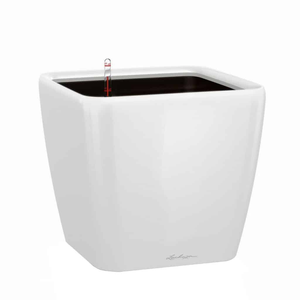 Buy QUADRO LS 21 Cream White High Gloss, Self-Watering Square Planter ...