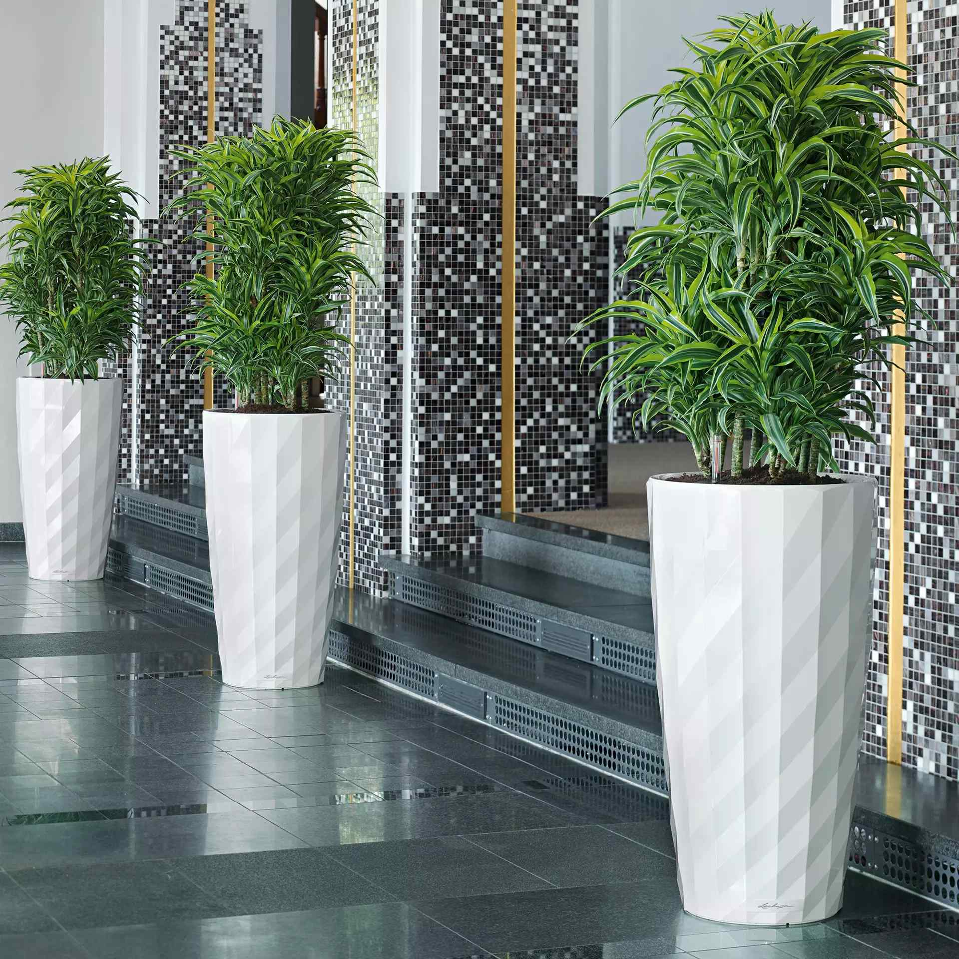 Buy DIAMANTE White High Gloss, Self-Watering Tall Planter, D15.7 H29.5 ...