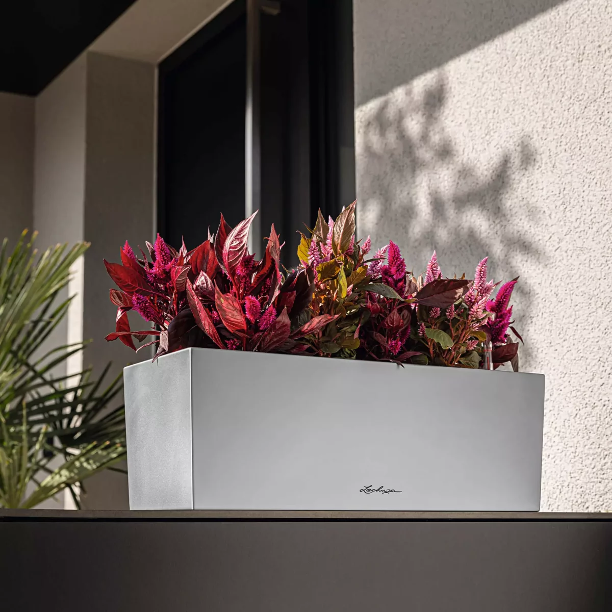 Buy BALCONERA Steel 80 Pearl Grey, Self-Watering Window Box (Railing ...