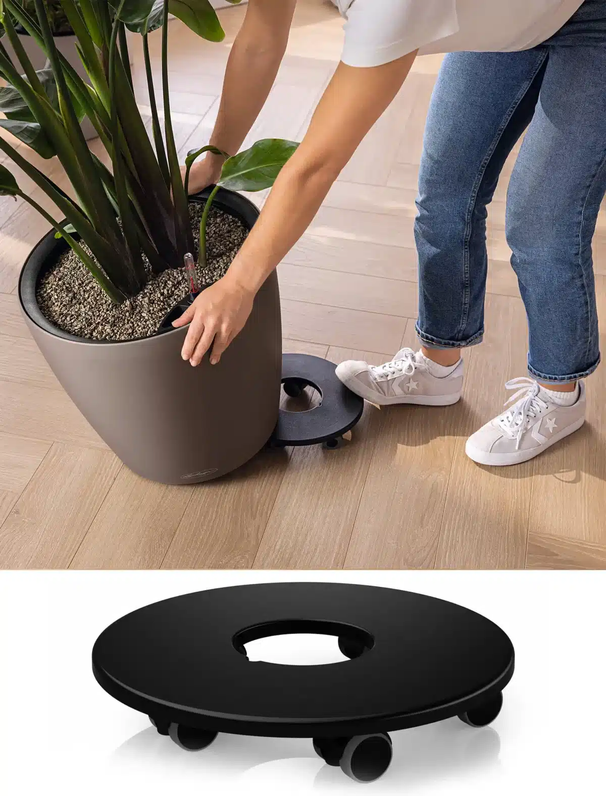 Buy CLASSICO Color LS 43 Sand Brown, Self-Watering Round Planter, D16.9 ...