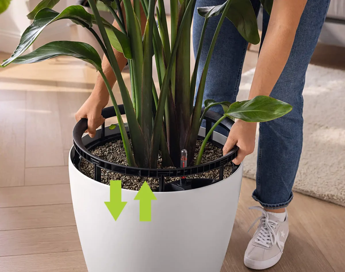 Buy CLASSICO Color LS 43 Sand Brown, Self-Watering Round Planter, D16.9 ...